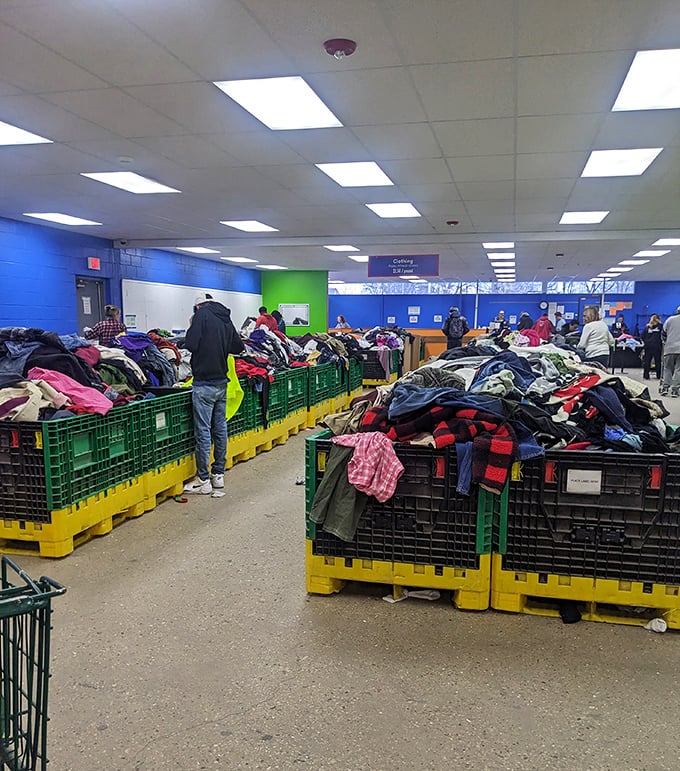 The thrill of the hunt brings shoppers from all walks. Like anthropologists of modern consumption, they navigate rows of vehicles in pursuit of bargains.