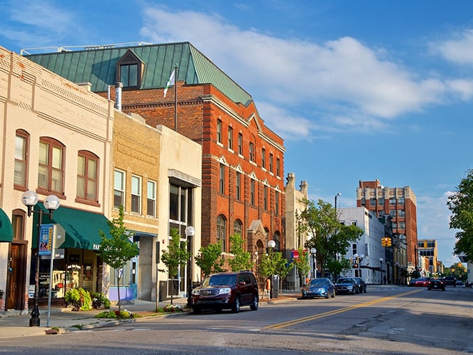 Ann Arbor's tree-lined streets create a perfect canopy for exploring the city's eclectic shops and cafes.