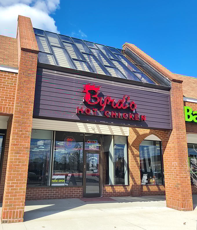 This modern hot chicken spot brings Nashville fire to Michigan suburbs with style that matches the spice level. 