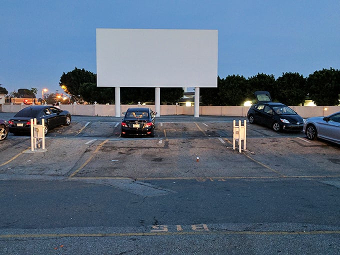 Paramount's parking lot transforms into a community living room when the sun goes down and the screen lights up.