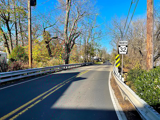 Route 32 curves through dappled sunlight like nature's roller coaster. The trees are practically giving you a standing ovation.
