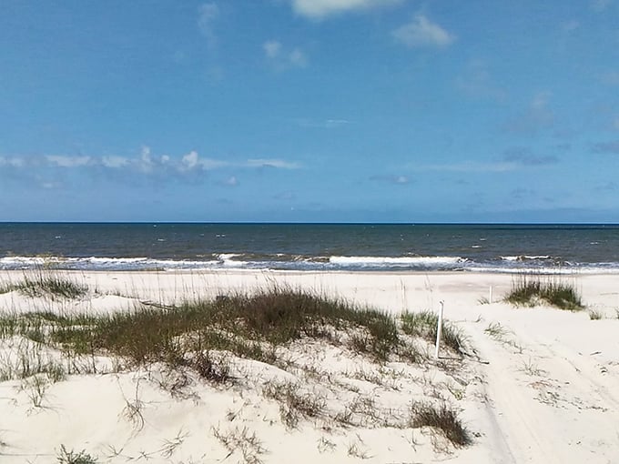 St. George Island's wide-open spaces offer room for both contemplation and celebration—sometimes simultaneously.