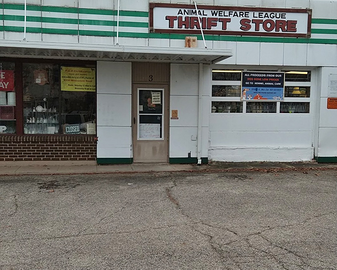 Don't let the modest storefront fool you—Animal Welfare League's thrift shop packs endless possibilities into a cozy space.