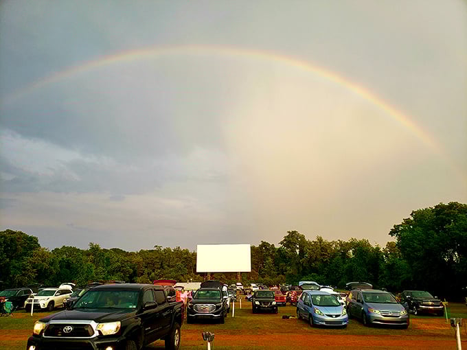 Community spirit on display! Local pet food drive shows these drive-ins are more than movies—they're neighborhood gathering spots.
