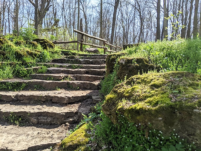Glen Helen: Sunlight filters through the forest canopy, illuminating a wooden walkway that beckons hikers into nature's embrace. Follow that path!