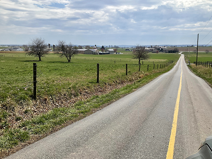 The original "green" transportation. Amish buggies remind us that sometimes slower is better.
