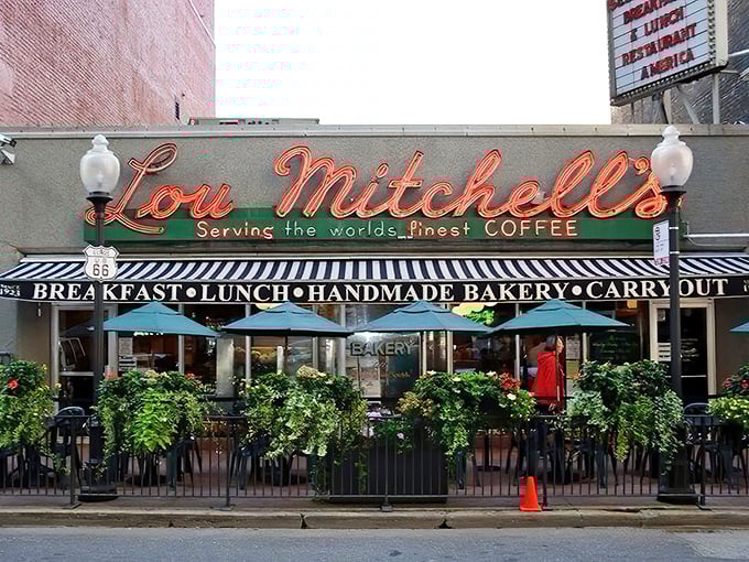 That sidewalk garden at Lou Mitchell's – where your coffee tastes better with a side of fresh air.