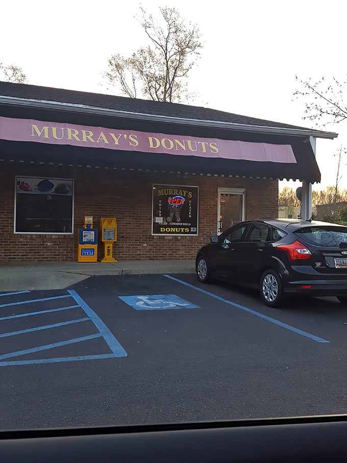 Murray's understands that great donuts don't need fancy packaging – just passionate craftsmanship.