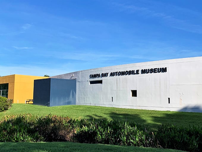 Engineering marvels from another era. These pioneering automobiles at Tampa Bay Automobile Museum showcase forgotten paths of automotive evolution.