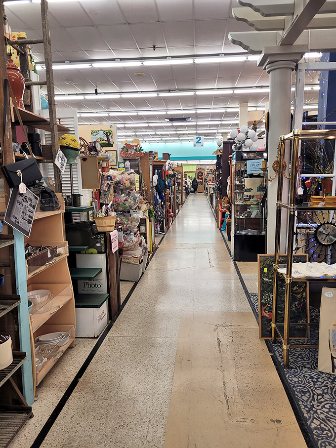 Another aisle, another decade—the store's organization makes browsing feel like walking through a timeline of American domestic life.