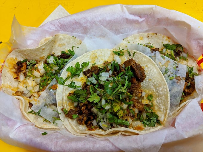Traditional al pastor tacos done right – double corn tortillas cradle perfectly seasoned meat topped with nothing more than cilantro and onions. Simplicity at its most delicious.