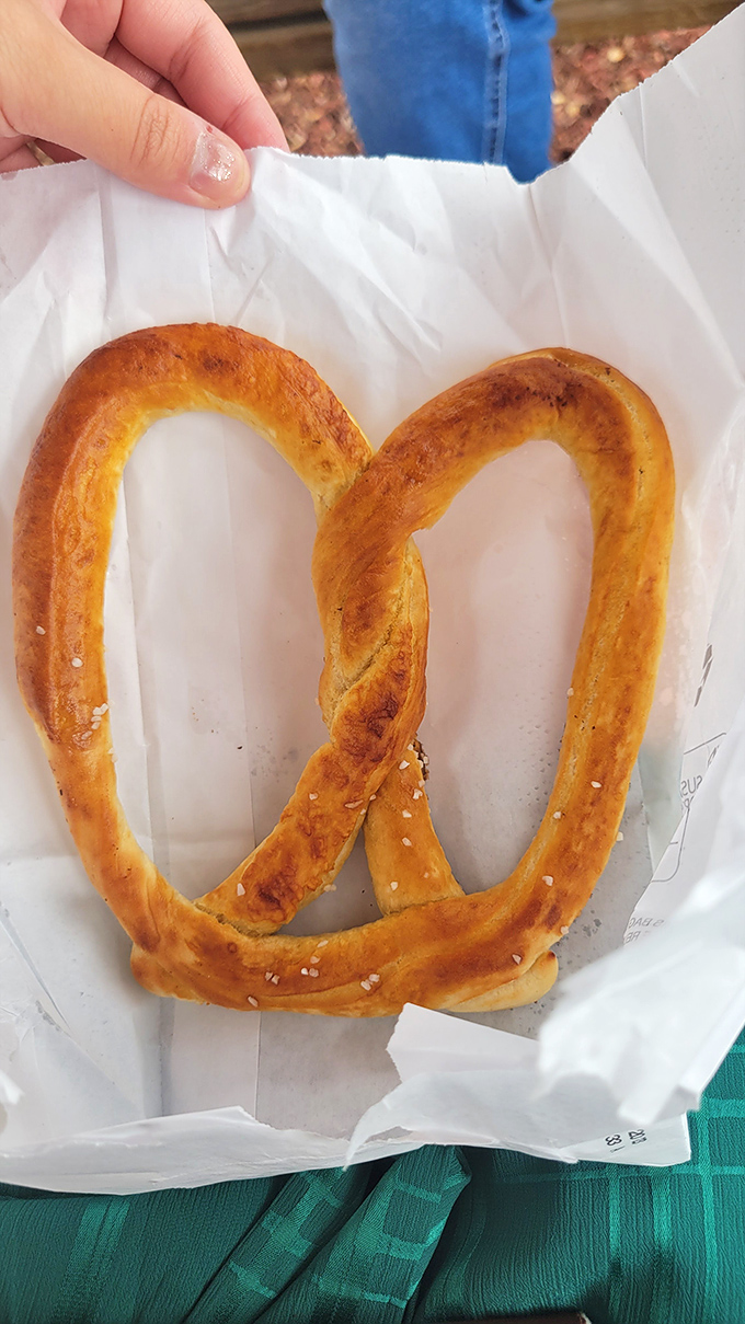 This isn't just a pretzel—it's an edible work of art that makes those mall versions look like sad, distant cousins.