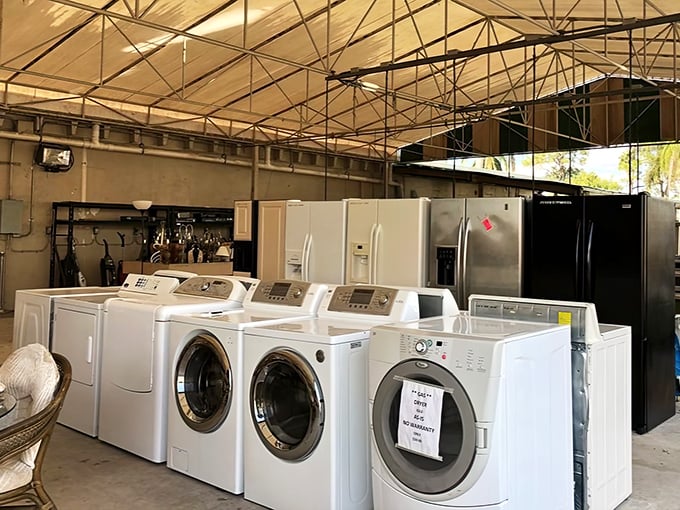 Appliance alley offers second chances at domestic bliss. These washers and refrigerators aren't just pre-owned—they're pre-loved and ready for adoption.