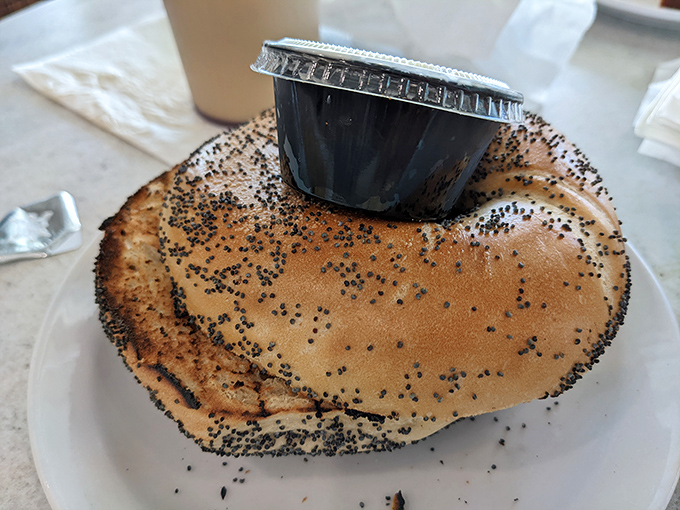 The poppy seed bagel—nature's way of telling your dentist you're living dangerously. That perfect golden crust is what New Yorkers dream about when exiled to Florida.