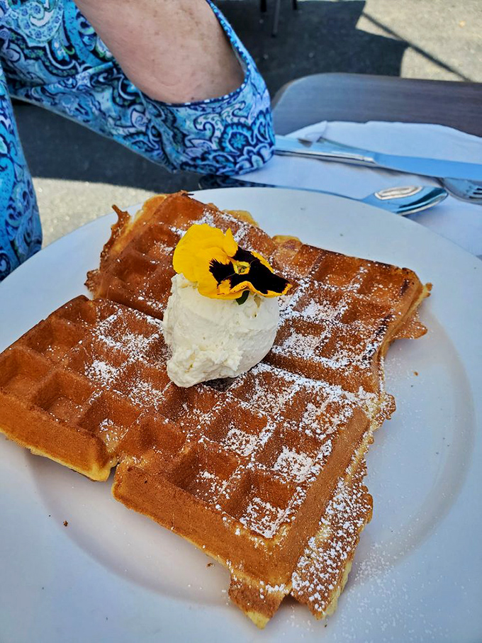 The Belgian waffle arrives like a dessert in disguise, wearing powdered sugar and a jaunty edible flower—breakfast's way of saying "life's too short for boring food."