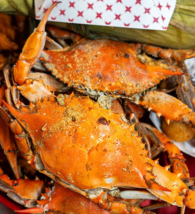 Old Bay-dusted blue crabs—where getting your hands dirty isn't just allowed, it's practically mandatory for the full Delmarva experience.