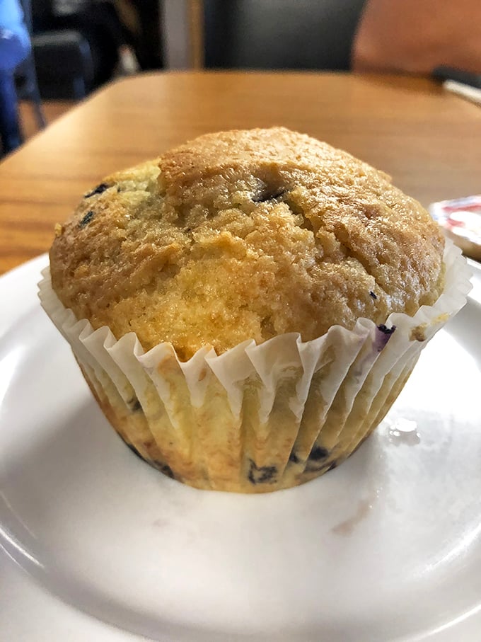 Not all heroes wear capes—some come in paper wrappers. This blueberry muffin deserves its own morning radio show and loyal following.