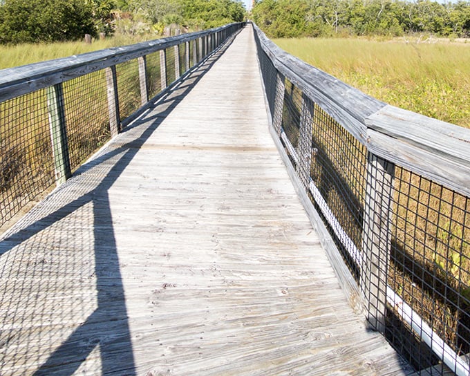 Walking this boardwalk feels like stepping into a Florida that existed before theme parks. No lines, no tickets—just you and the whispering marsh grasses.