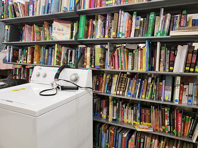 A washer stands sentinel among literary worlds waiting to be explored. Where else can you find both home appliances and the complete works of your favorite authors?
