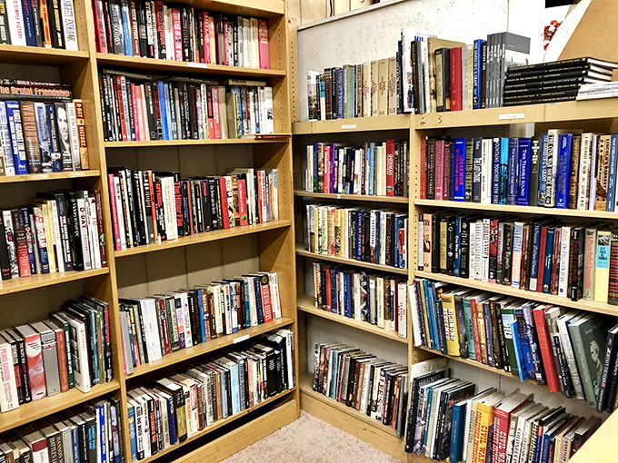A bibliophile's dream corner where forgotten bestsellers and timeless classics stand shoulder to shoulder, waiting for their next reader's hands.