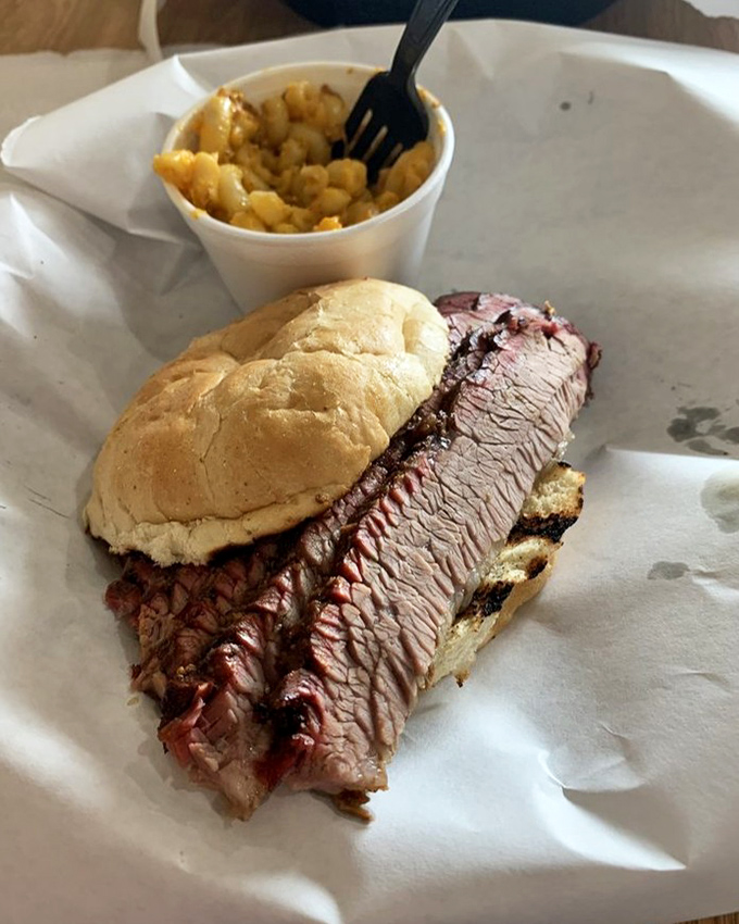Brisket sandwich that makes Texans nervous. That smoke ring is the barbecue equivalent of Olympic gold—hours of patience transformed into meat magic.