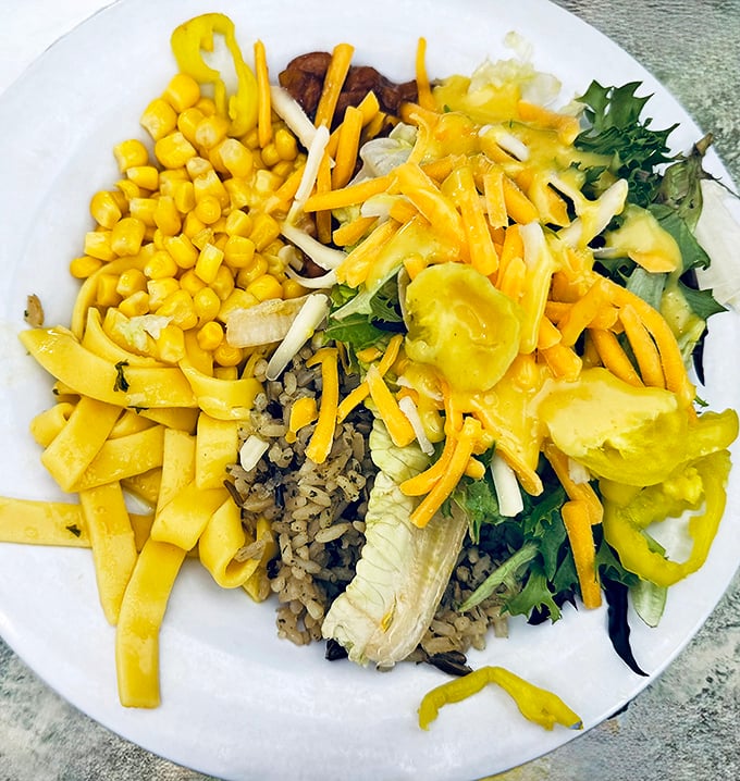 A buffet plate that tells the story of Midwestern abundance—where vegetables, rice, and cheese coexist in peaceful, delicious harmony. No food group left behind.