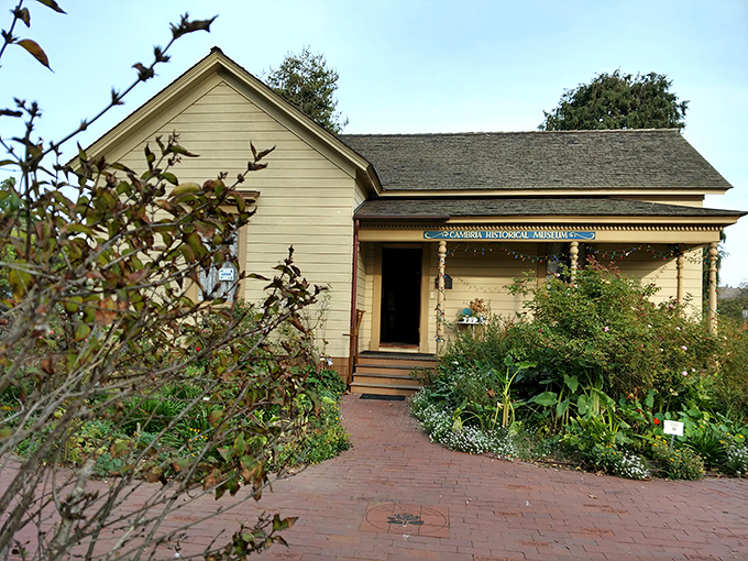 The Cambria Historical Museum—where yesterday's stories are preserved in a cottage so charming it could make a gingerbread house jealous.