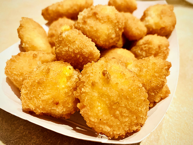 Wisconsin's favorite appetizer done right—golden, crispy exterior giving way to that signature cheese curd "squeak." Resistance is futile, my friends.