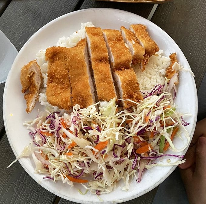 Golden-brown panko perfection atop fluffy rice with a rainbow of slaw—this katsu plate is what happens when comfort food gets a passport.