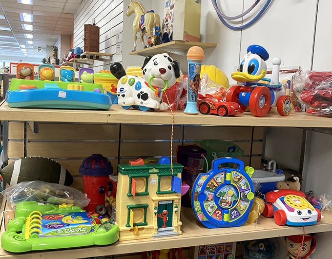 Childhood classics that don't require batteries or Wi-Fi. That spotted dog looks like he's waiting for a second chance at playtime.