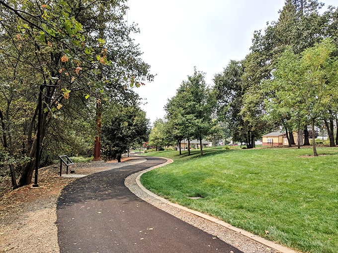 This isn't just a park—it's an outdoor living room. Wide paths and shady trees create the perfect setting for morning constitutionals.