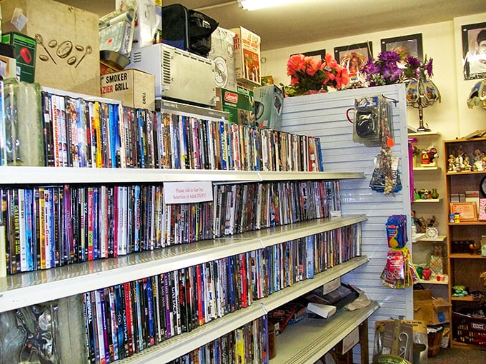 A cinematic time capsule where forgotten blockbusters and cult classics stand shoulder to shoulder, waiting for their encore viewing.