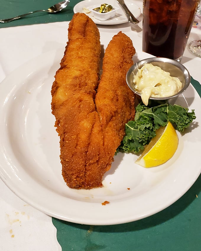 Golden-fried walleye that rivals anything caught and cooked dockside – crispy exterior giving way to flaky white fish that tastes like summer at the lake.