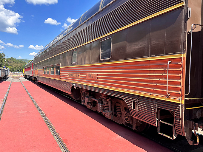 The streamlined elegance of this vintage dome car recalls an era when travel was an occasion and passengers dressed for dinner in the dining car.