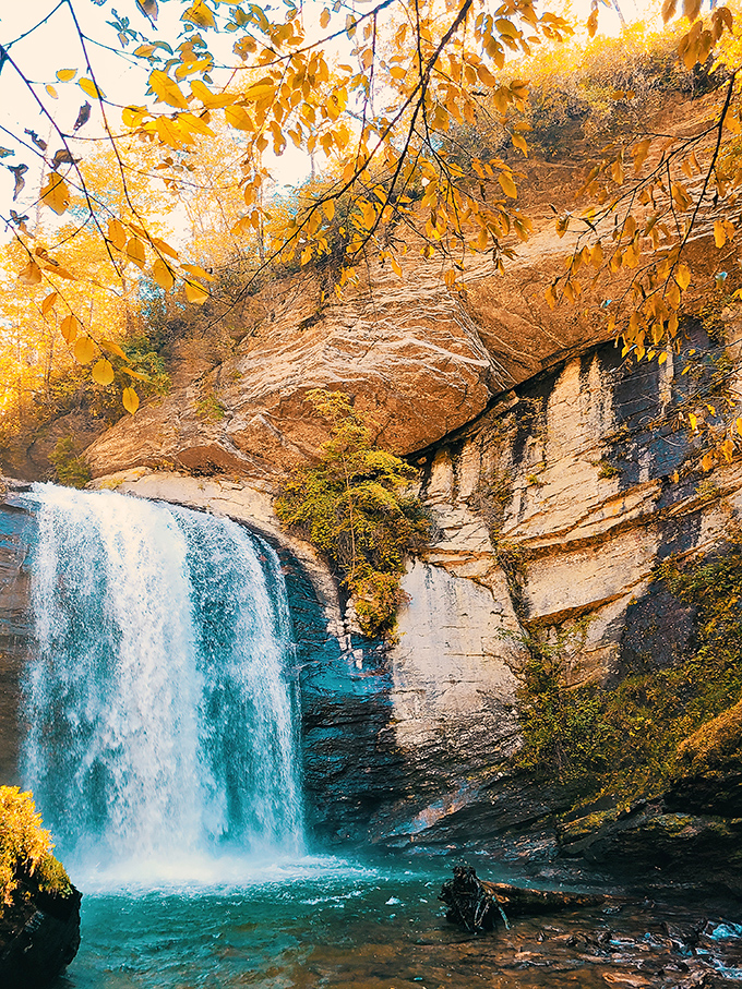 Autumn transforms Looking Glass Falls into nature's gold medal event, with every leaf competing for "most vibrant supporting actor."