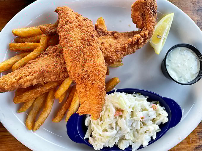 Fish and chips done right – flaky white fish in a golden jacket, served with creamy coleslaw that might just make you forget you're not actually in a coastal shack.