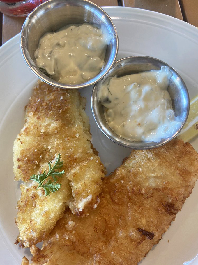 Golden-fried perfection meets creamy tartar sauce. This fish isn't just fresh—it probably was swimming this morning before volunteering for dinner duty.