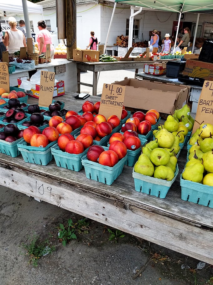 Nature's candy display! Fresh nectarines, plums, and pears from local farms offer a sweet counterpoint to the vintage treasures throughout the market.