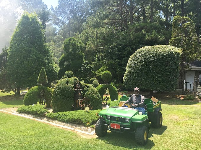 The artist at work! Maintaining this living gallery requires constant attention and a trusty green chariot to navigate between botanical masterpieces.