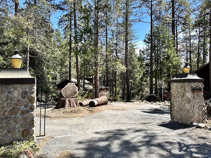 Stone pillars frame a driveway into the forest like nature's version of a red carpet entrance. Paparazzi-free since forever.
