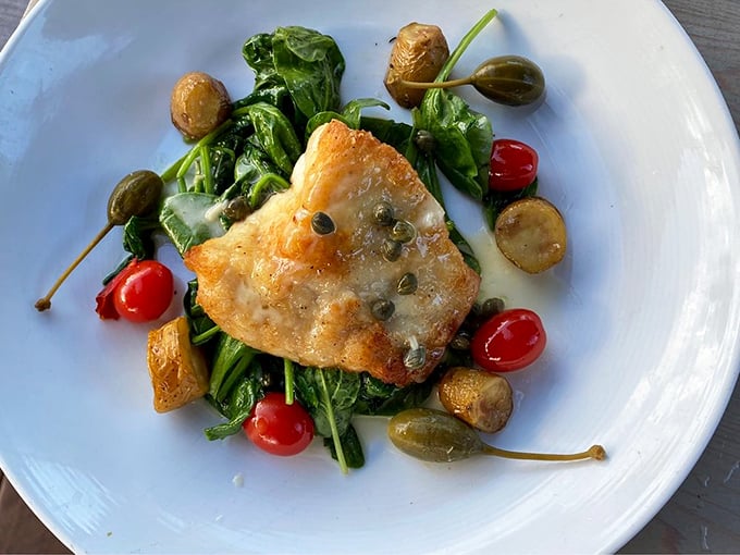 This grouper piccata is Florida on a plate—delicate fish meets bright capers and olives. Spinach underneath soaks up sauce like nature's sponge.