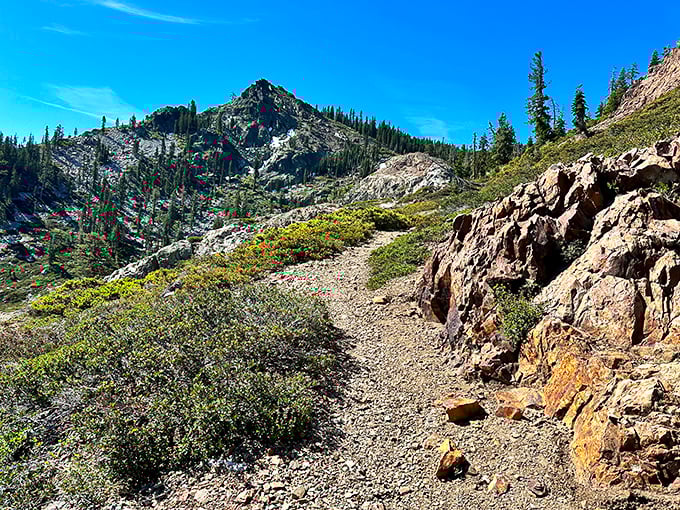 The path less traveled reveals itself. This high-country trail promises views that no smartphone camera can truly capture.