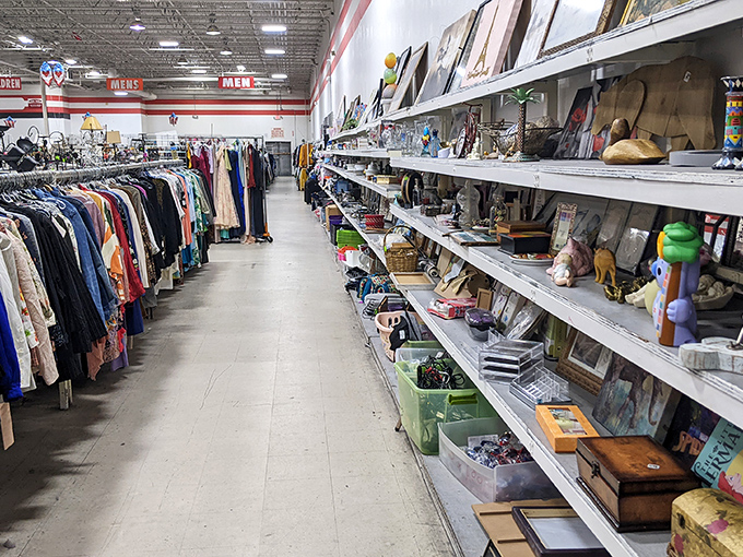 The housewares section is where minimalism goes to die and maximalists find their happy place. One person's clutter is another's collection.