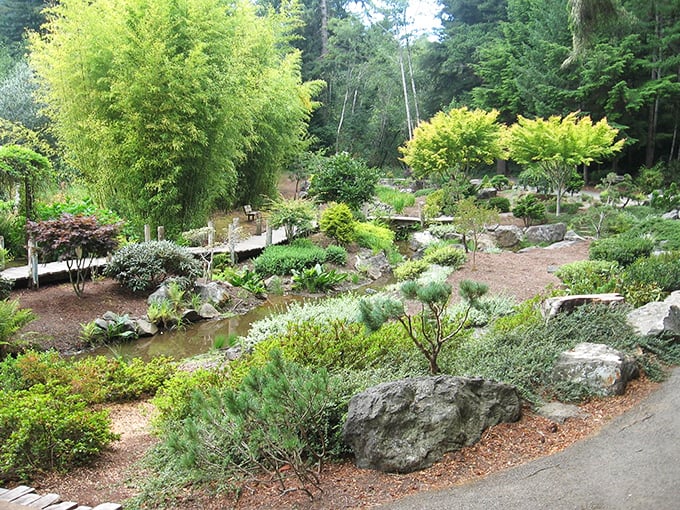 The Japanese Garden at Mingus Park brings zen-like tranquility to Oregon's coast. A masterclass in how rocks, water, and bamboo can lower your blood pressure.