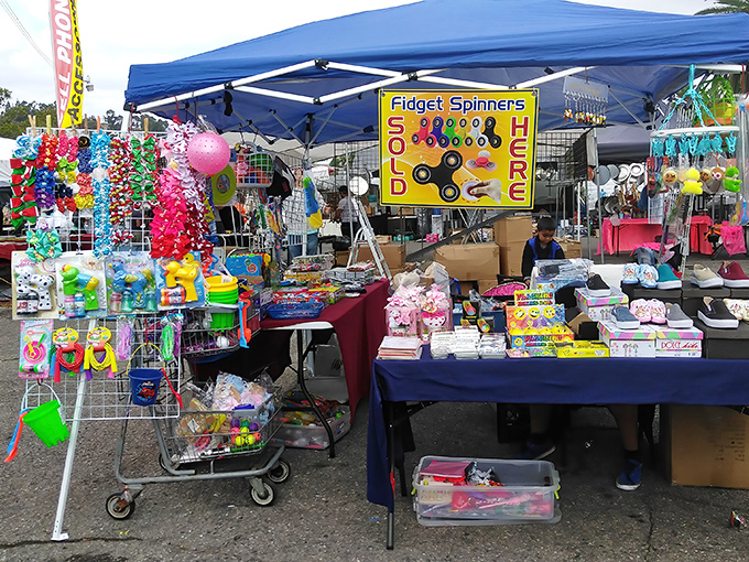 Fidget spinners and rainbow trinkets create a kaleidoscope of temptation—proof that today's trends and yesterday's fads peacefully coexist in swap meet harmony.