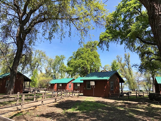 Lakeside cabins that whisper "put down your phone and pick up a fishing rod." These rustic retreats offer what no luxury hotel can—genuine simplicity.