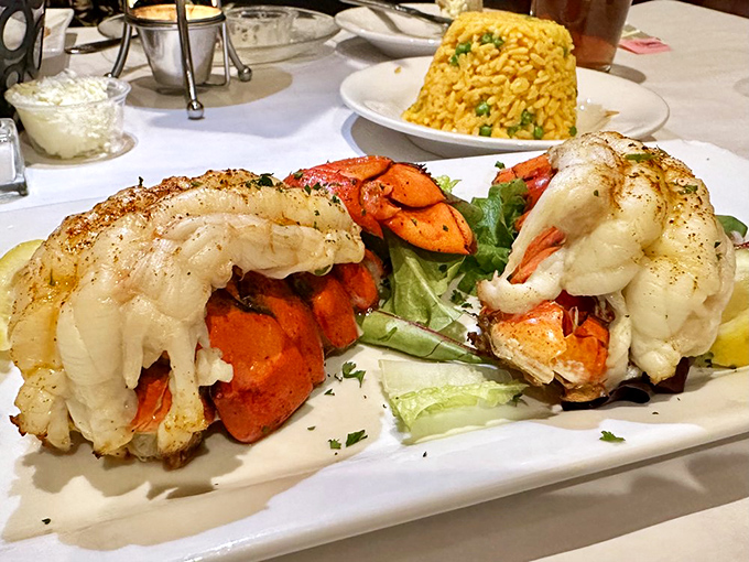 Lobster tails and scallops presented with the reverence they deserve. That yellow rice isn't just a side—it's the supporting actor in this seafood drama.