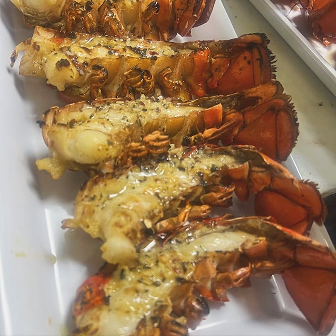 Lobster tails that look like they're auditioning for a seafood calendar. Buttery, herb-flecked, and ready for their close-up.