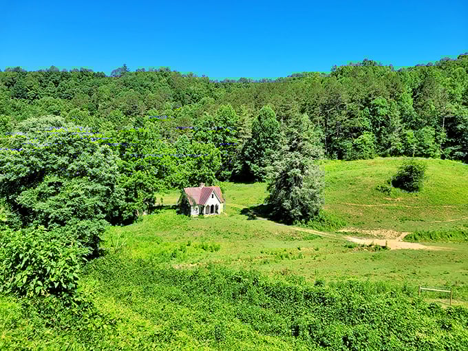 A solitary farmhouse nestled in nature's embrace reminds us why they call this region "God's country"—and why train windows were invented.