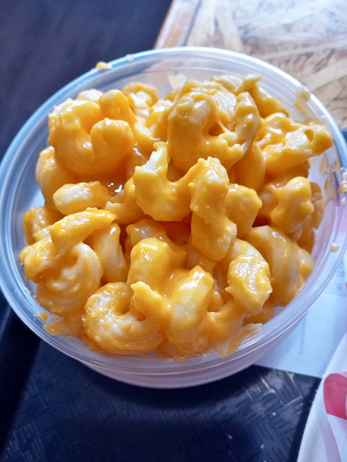 Mac and cheese that doesn't apologize for being exactly what it is—comfort in a cup, with cheese pulling rank over any notion of restraint.